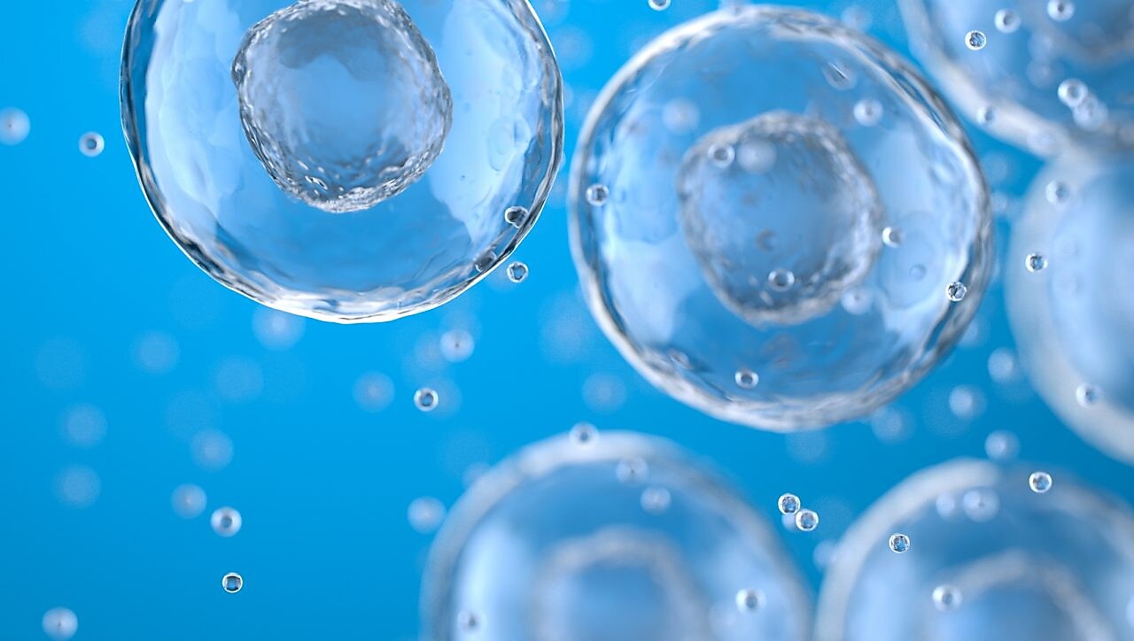 Hydrogen | About Shell UK