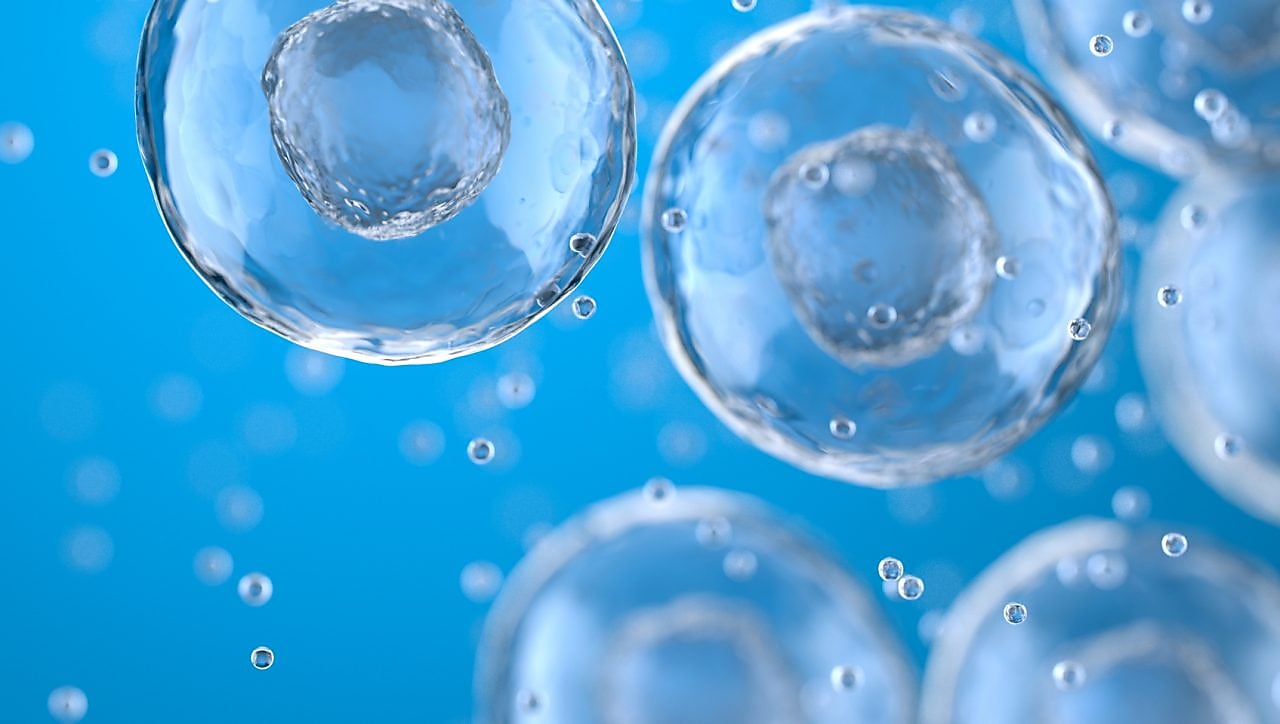 Hydrogen | About Shell UK