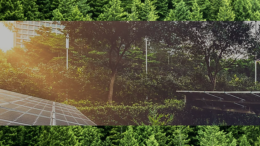 Shell Naturelle | Business