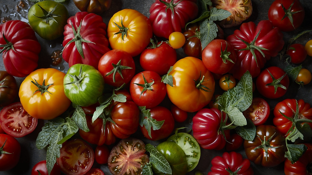 Waitrose and Partners | Shell UK